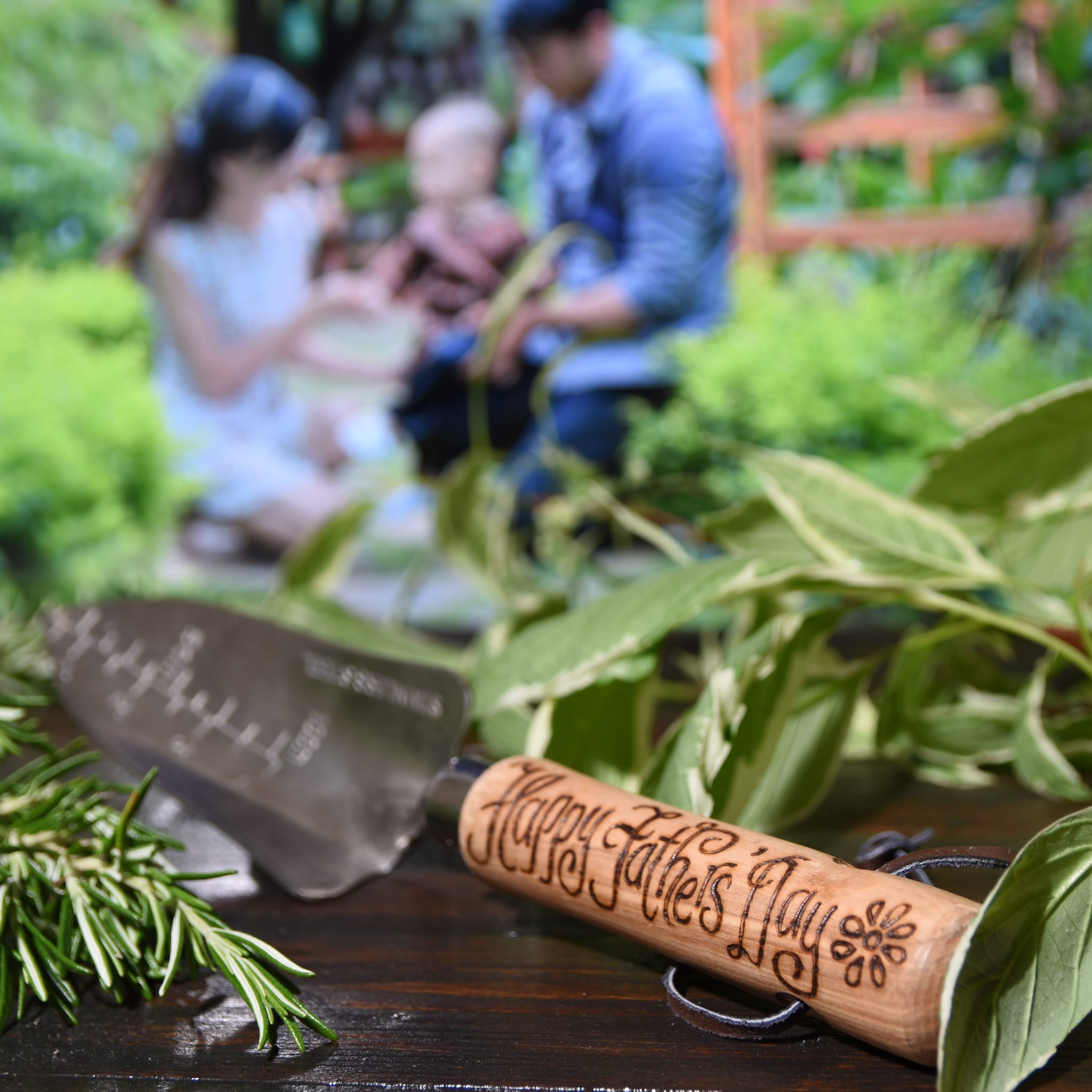 Homepage - Cove Calligraphy